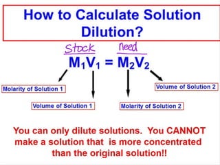 Solution Dilution | PPT