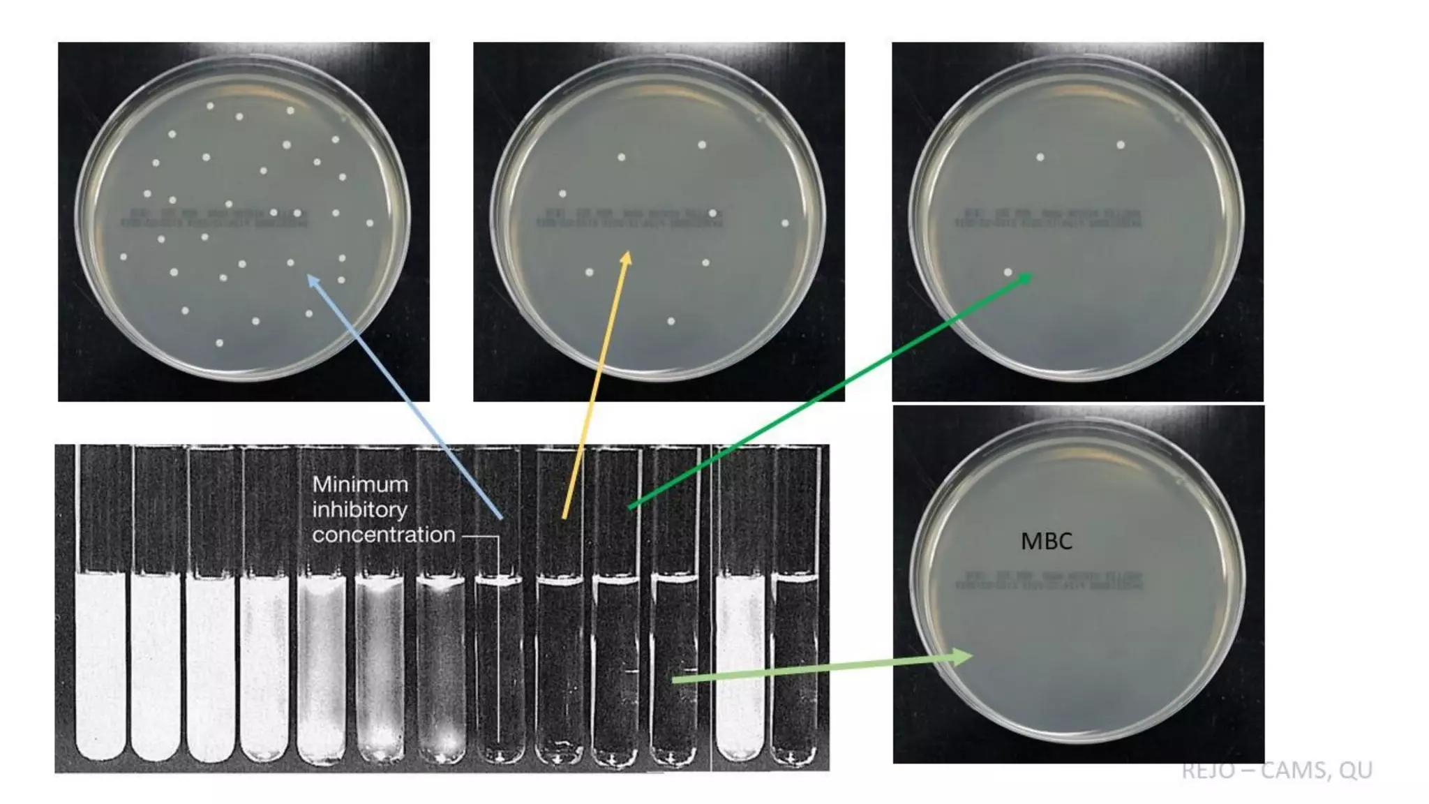 Antibiotic Sensitivity Test by Dilution Method | PDF
