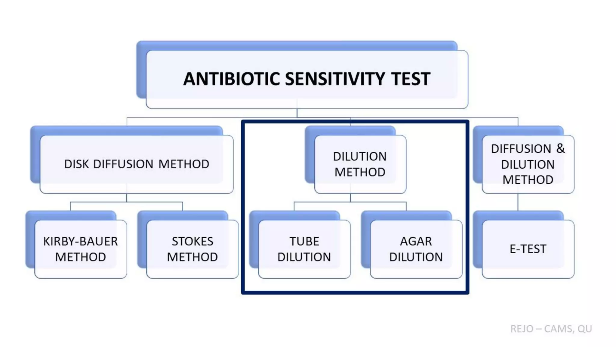 Antibiotic Sensitivity Test by Dilution Method | PDF