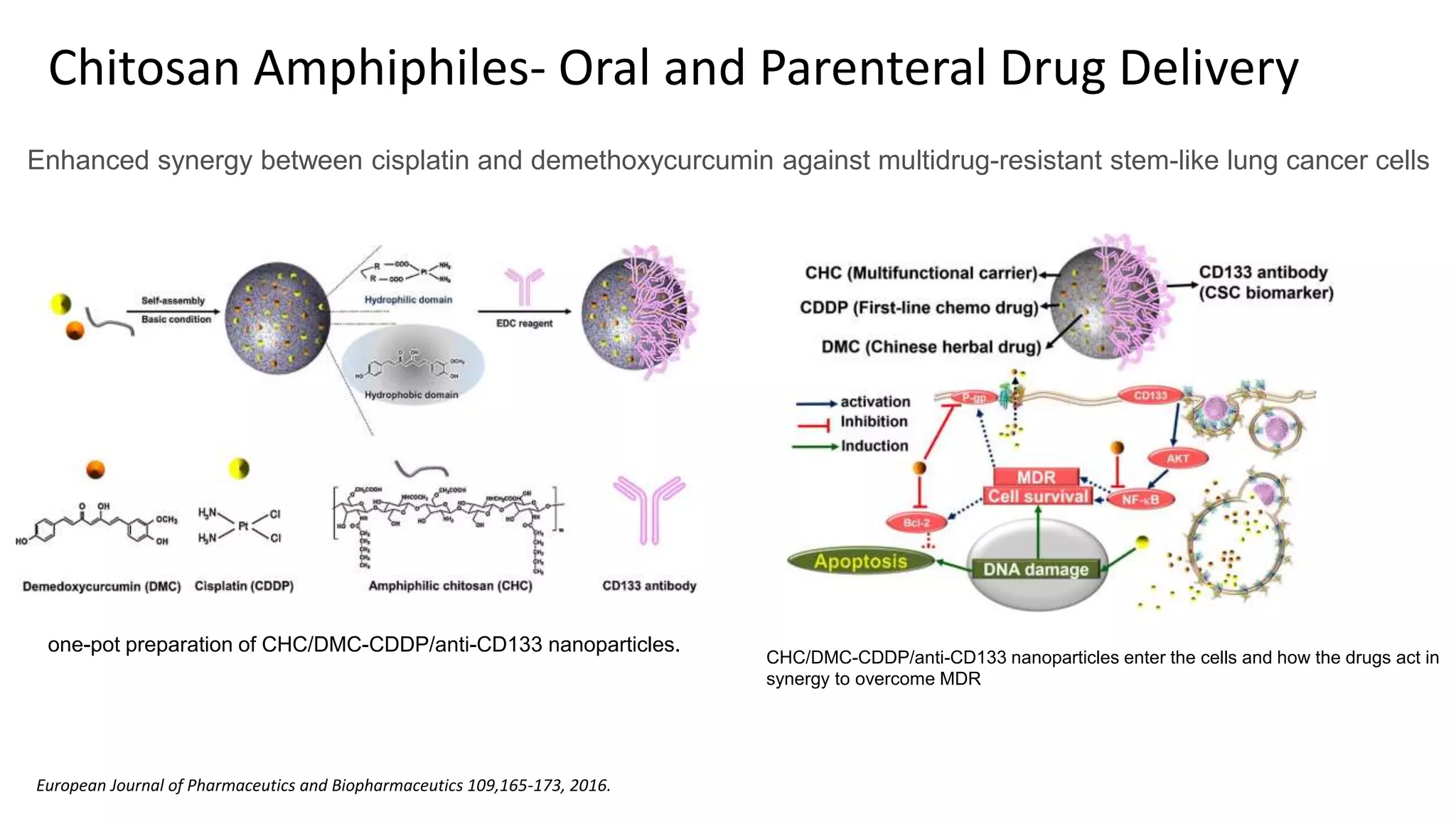 SELF-ASSEMBLY AMPHIPHILIC CHITOSAN NANOCARRIERS FOR ORAL CO-DELIVERY OF HYDROPHOBIC AND ...
