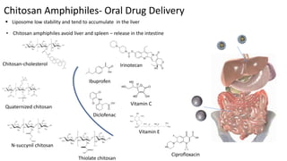 SELF-ASSEMBLY AMPHIPHILIC CHITOSAN NANOCARRIERS FOR ORAL CO-DELIVERY OF HYDROPHOBIC AND ...