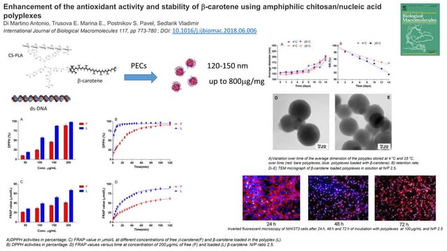 SELF-ASSEMBLY AMPHIPHILIC CHITOSAN NANOCARRIERS FOR ORAL CO-DELIVERY OF HYDROPHOBIC AND ...