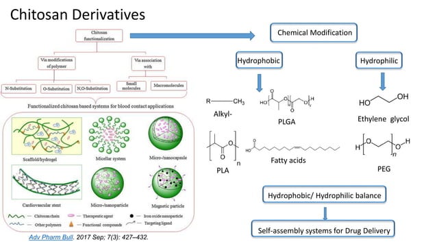 SELF-ASSEMBLY AMPHIPHILIC CHITOSAN NANOCARRIERS FOR ORAL CO-DELIVERY OF HYDROPHOBIC AND ...