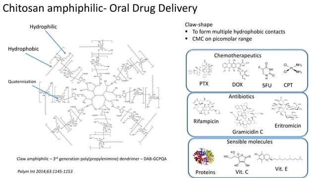SELF-ASSEMBLY AMPHIPHILIC CHITOSAN NANOCARRIERS FOR ORAL CO-DELIVERY OF HYDROPHOBIC AND ...