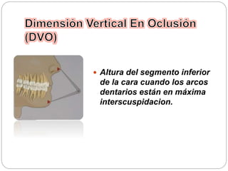 Dimensión Vertical.pptx