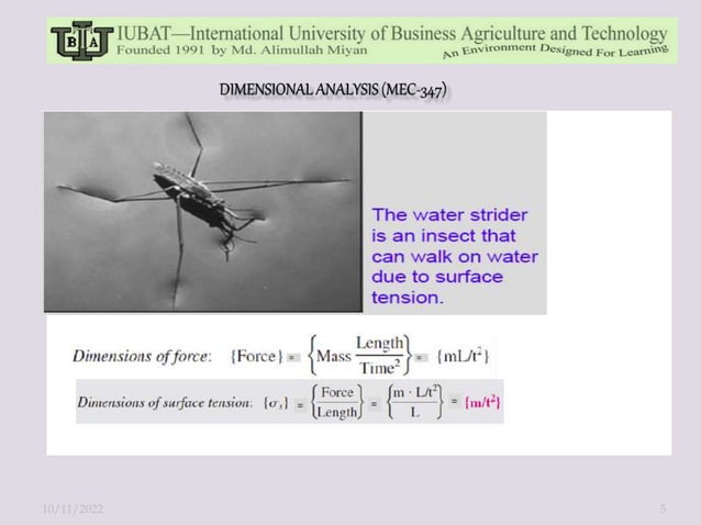 dimensional_analysis.pptx
