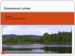 Dimensional Lumber | PPT