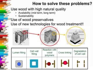 Dimensional stabilization of wood | PPT