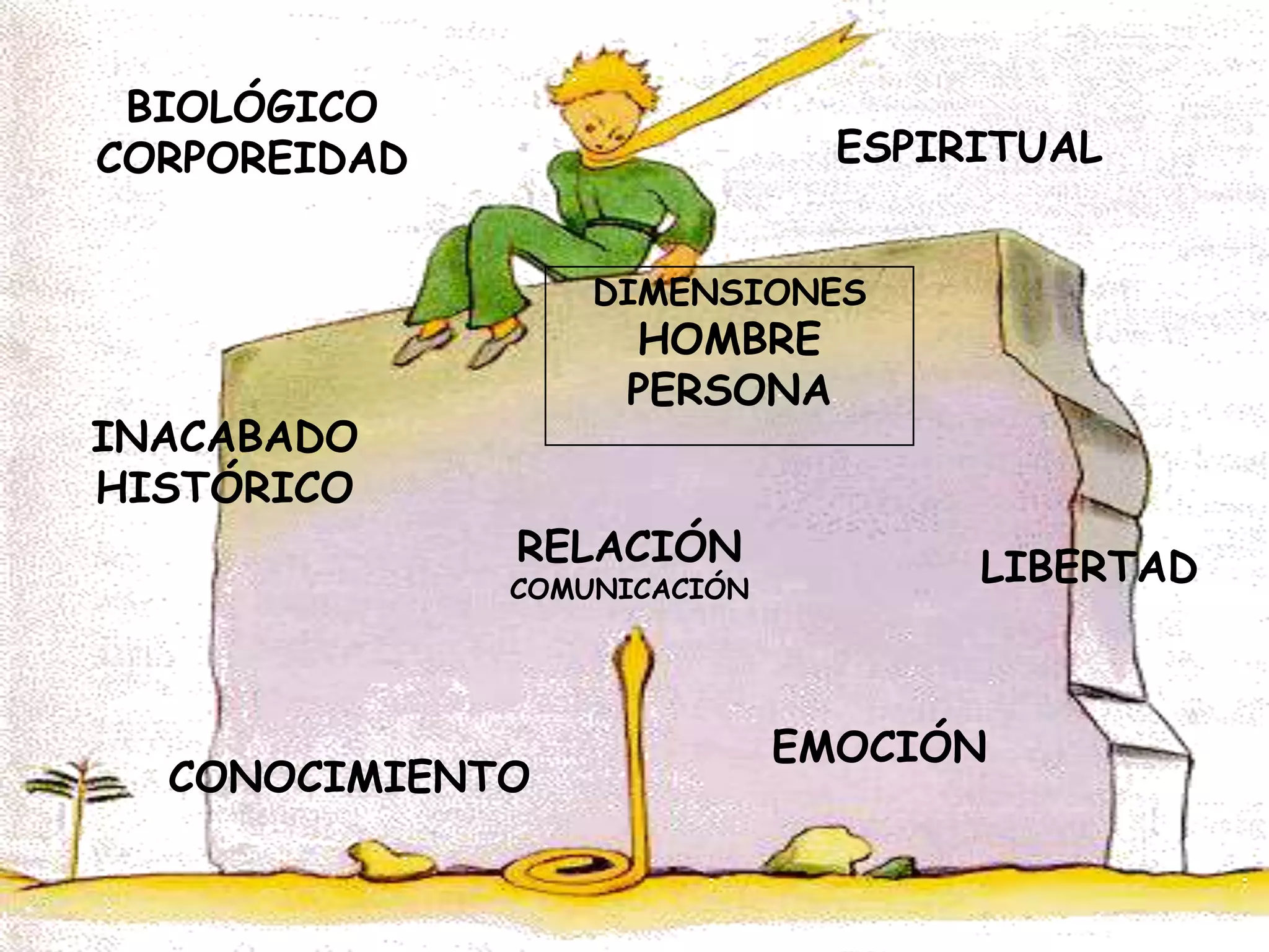 Dimensiones-hombre-persona.ppt