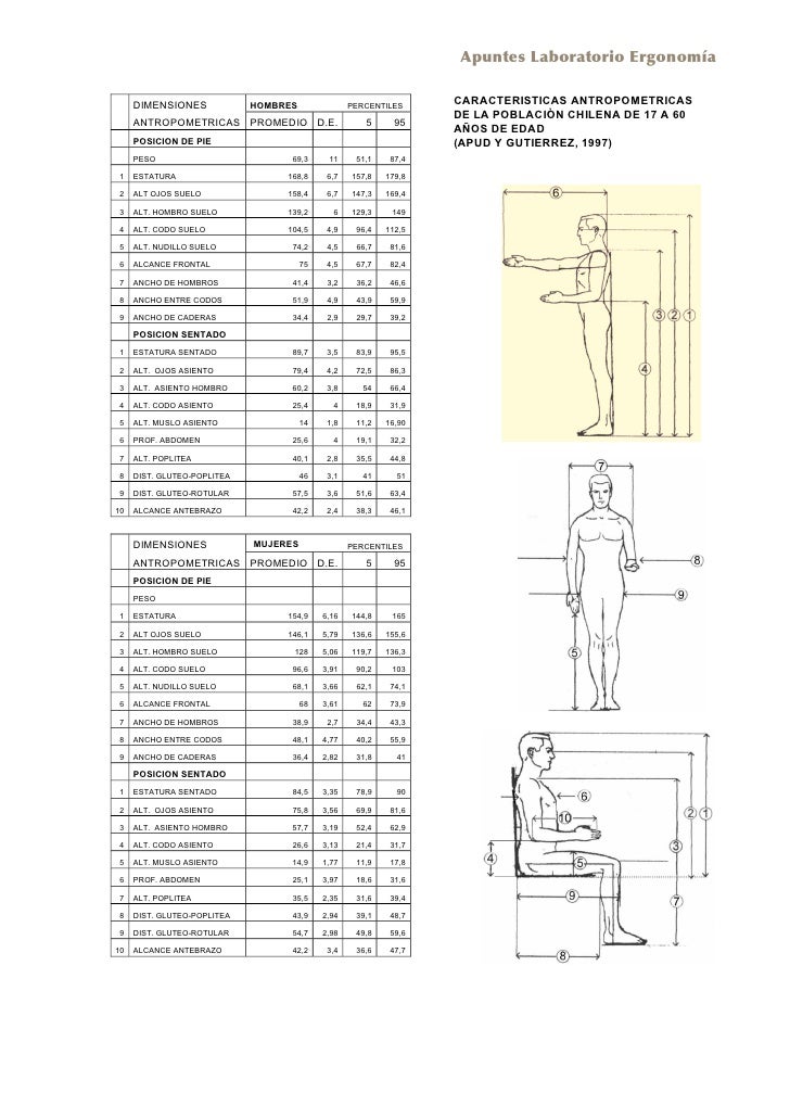 Dimensiones antropometricas
