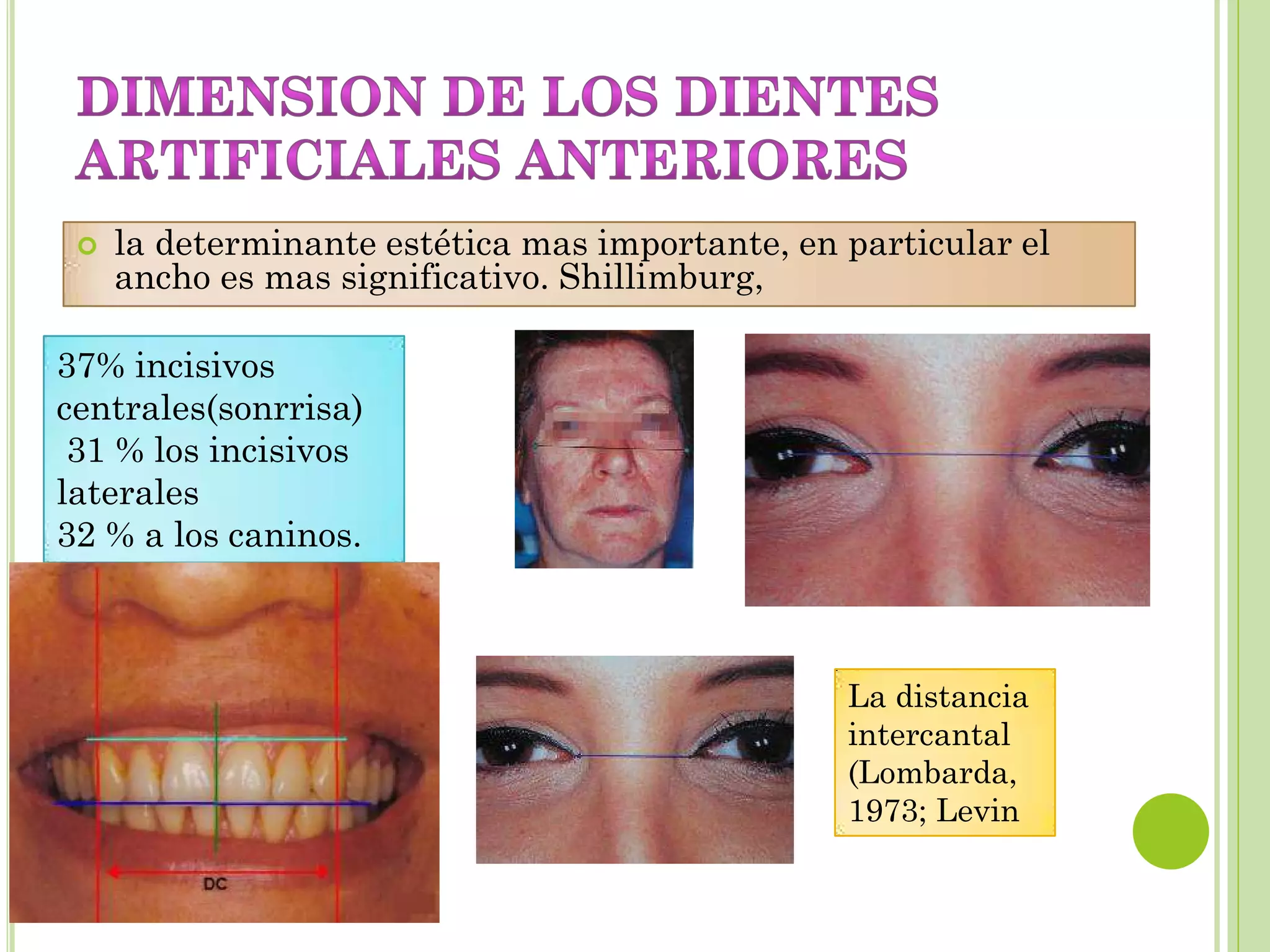 Dimension, forma y color de los dientes artificiales protesis total | PDF