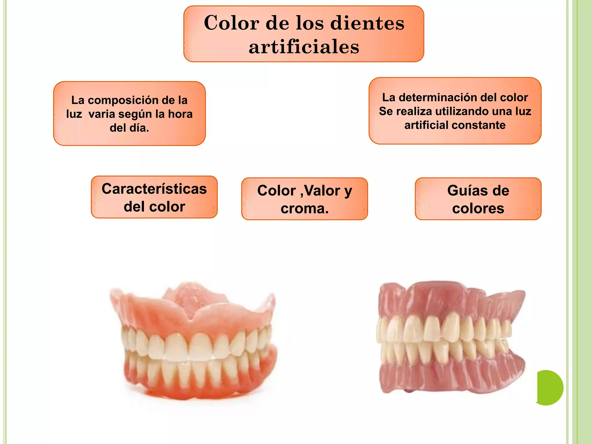 Dimension, forma y color de los dientes artificiales protesis total | PDF
