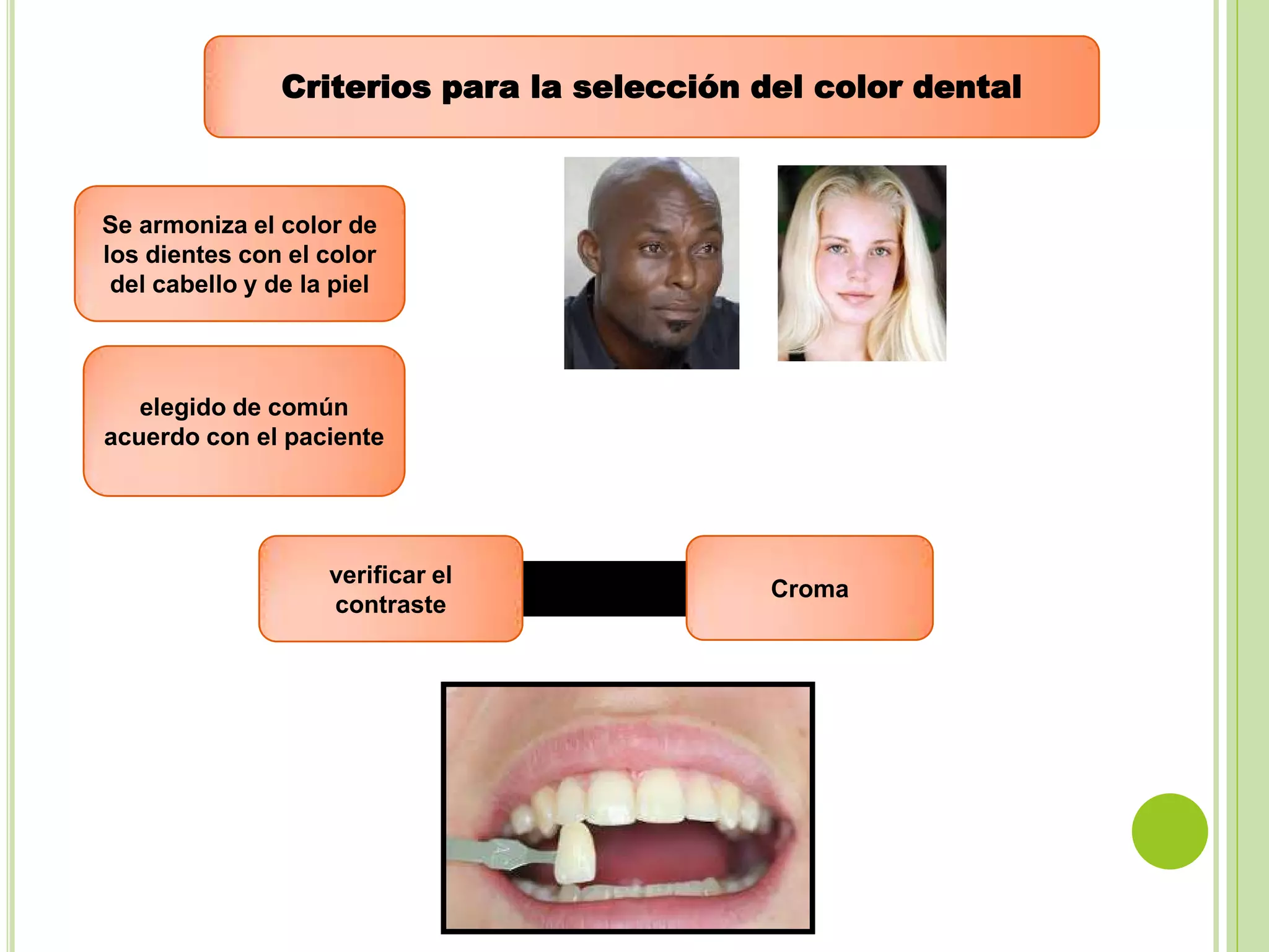 Dimension, forma y color de los dientes artificiales protesis total | PDF