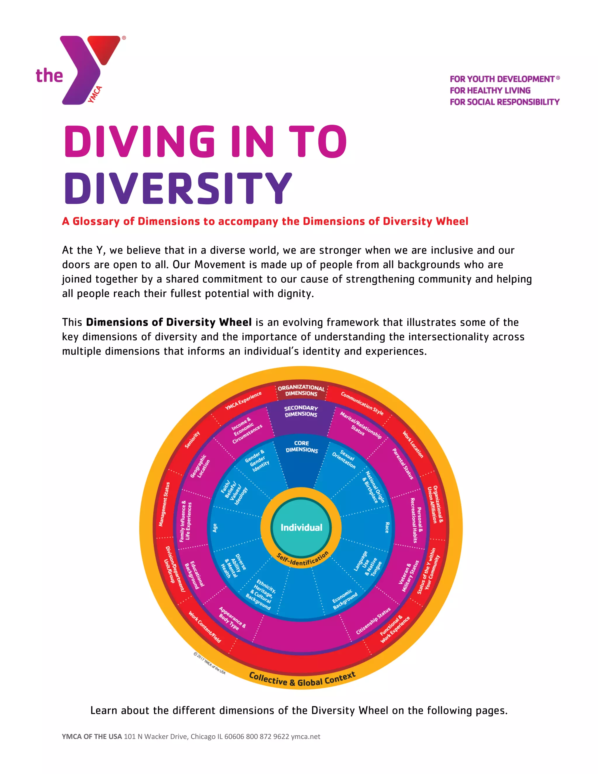 Dimensions of Diversity Glossary | PDF