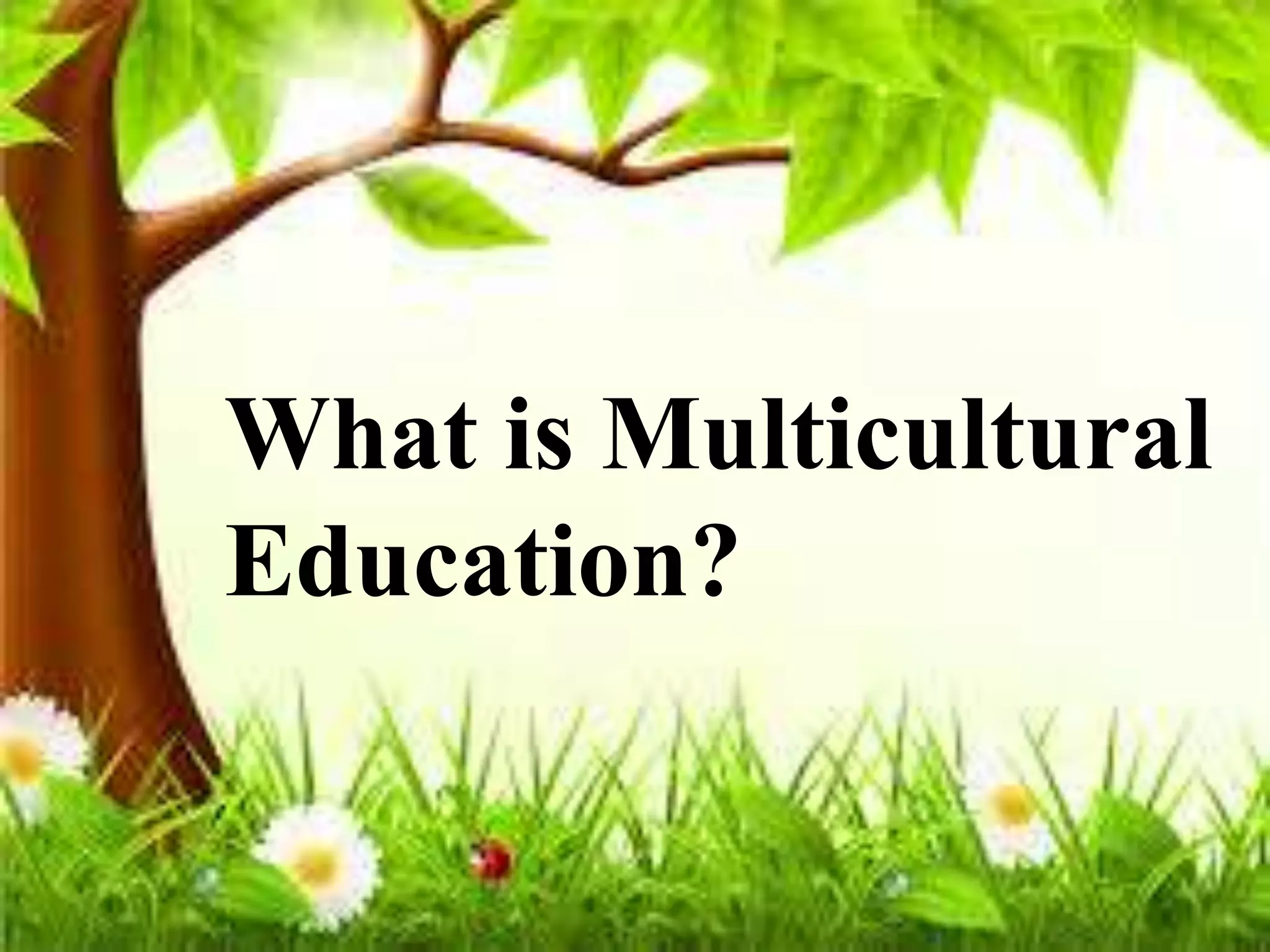 Dimensions of Multicultural Education.pptx