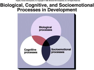 Dimensi dan Periode perkembangan | PPT