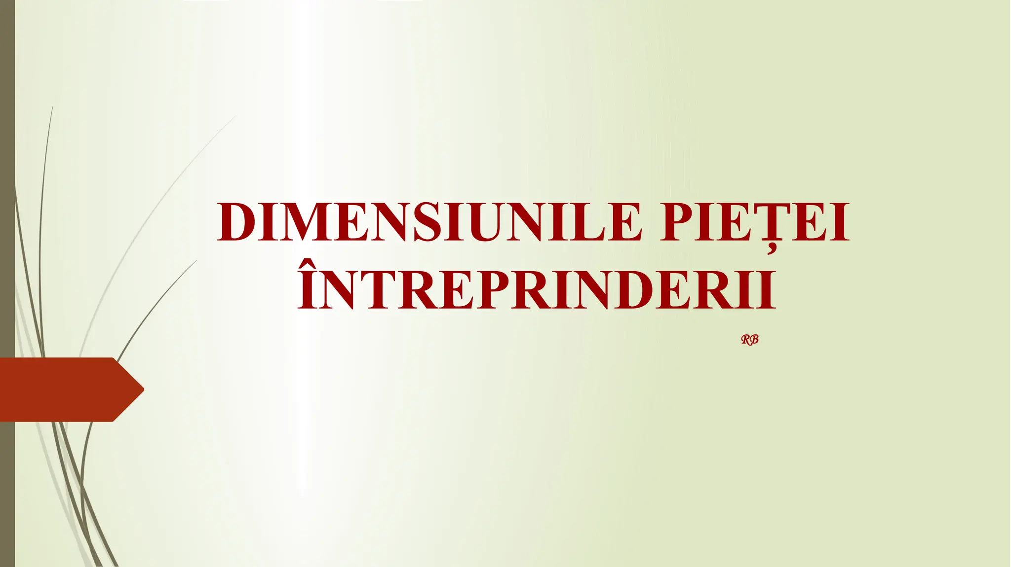 Dimensiunile pietei intreprinderii | PPTX