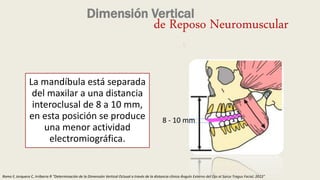 Dimesion vertical | PPTX