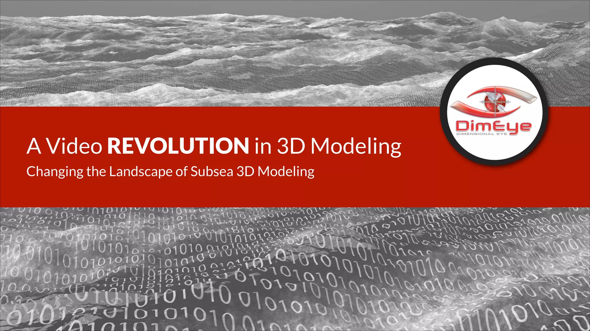 DimEye Corp Presents Revolutionary VLS (Video Laser Scan) at SS IMMR 2013 | PDF