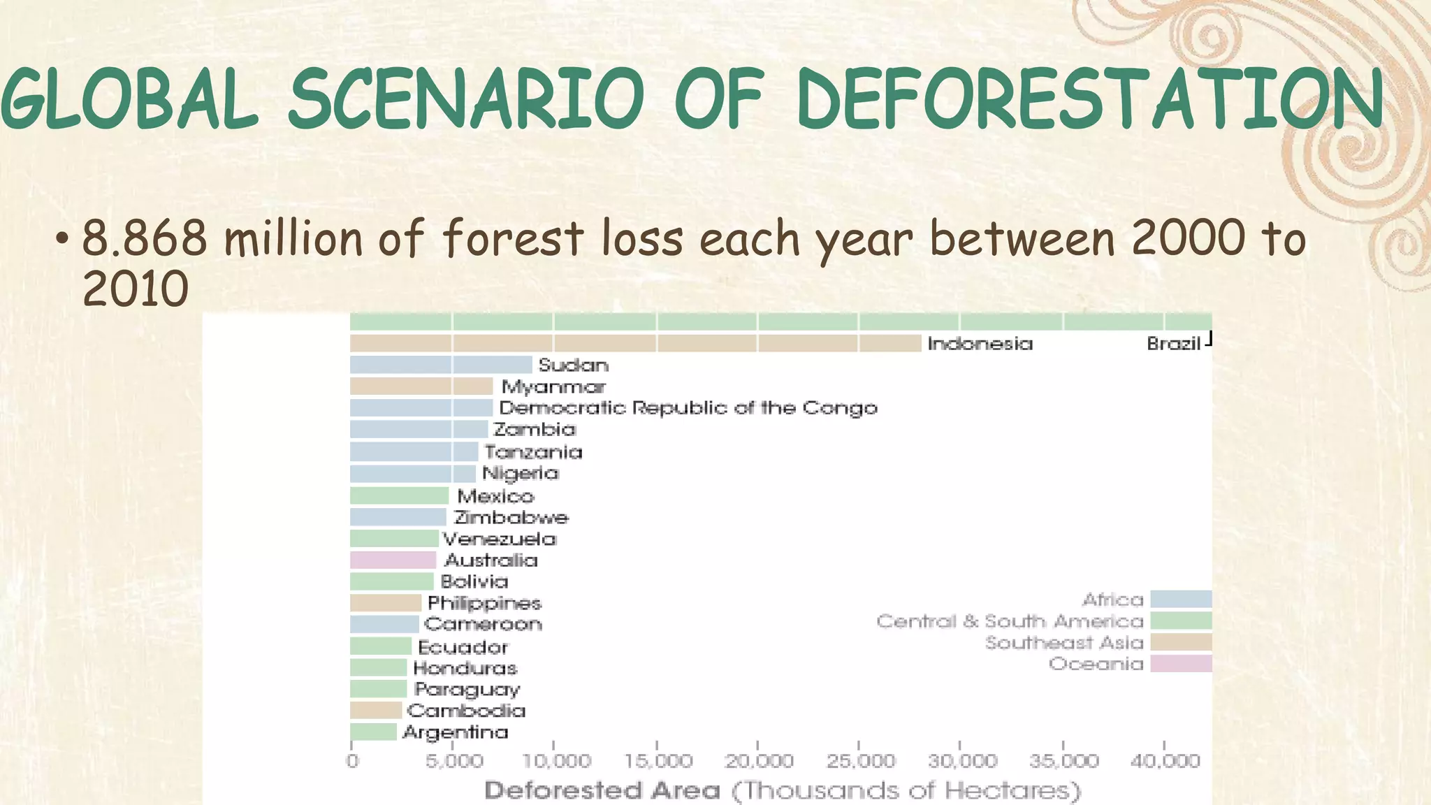 Diminishing of rain forests | PPT