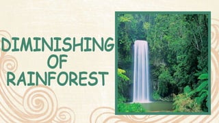 Diminishing of rain forests | PPT