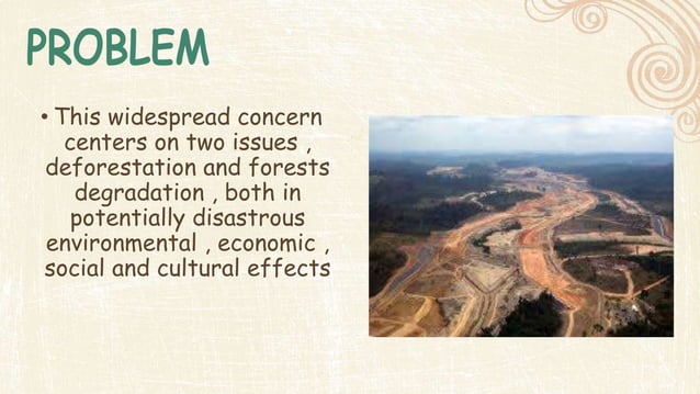 Diminishing of rain forests | PPT