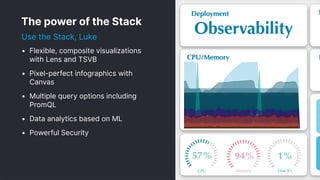 Infrastructure monitoring made easy, from ingest to insight | PDF