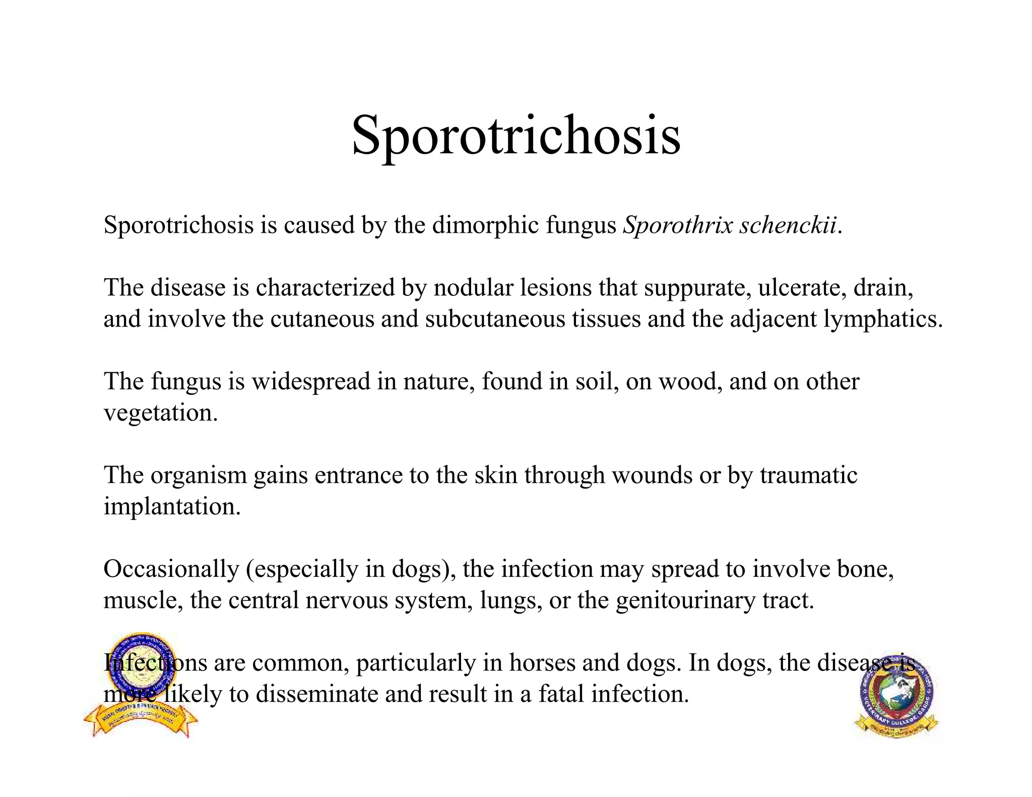 Dimorphic fungi | PDF