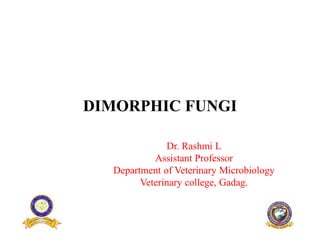 Dimorphic fungi | PDF | Infectious Diseases | Diseases and Conditions