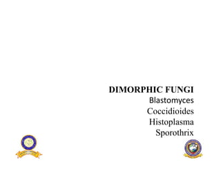 Dimorphic fungi | PDF | Infectious Diseases | Diseases and Conditions