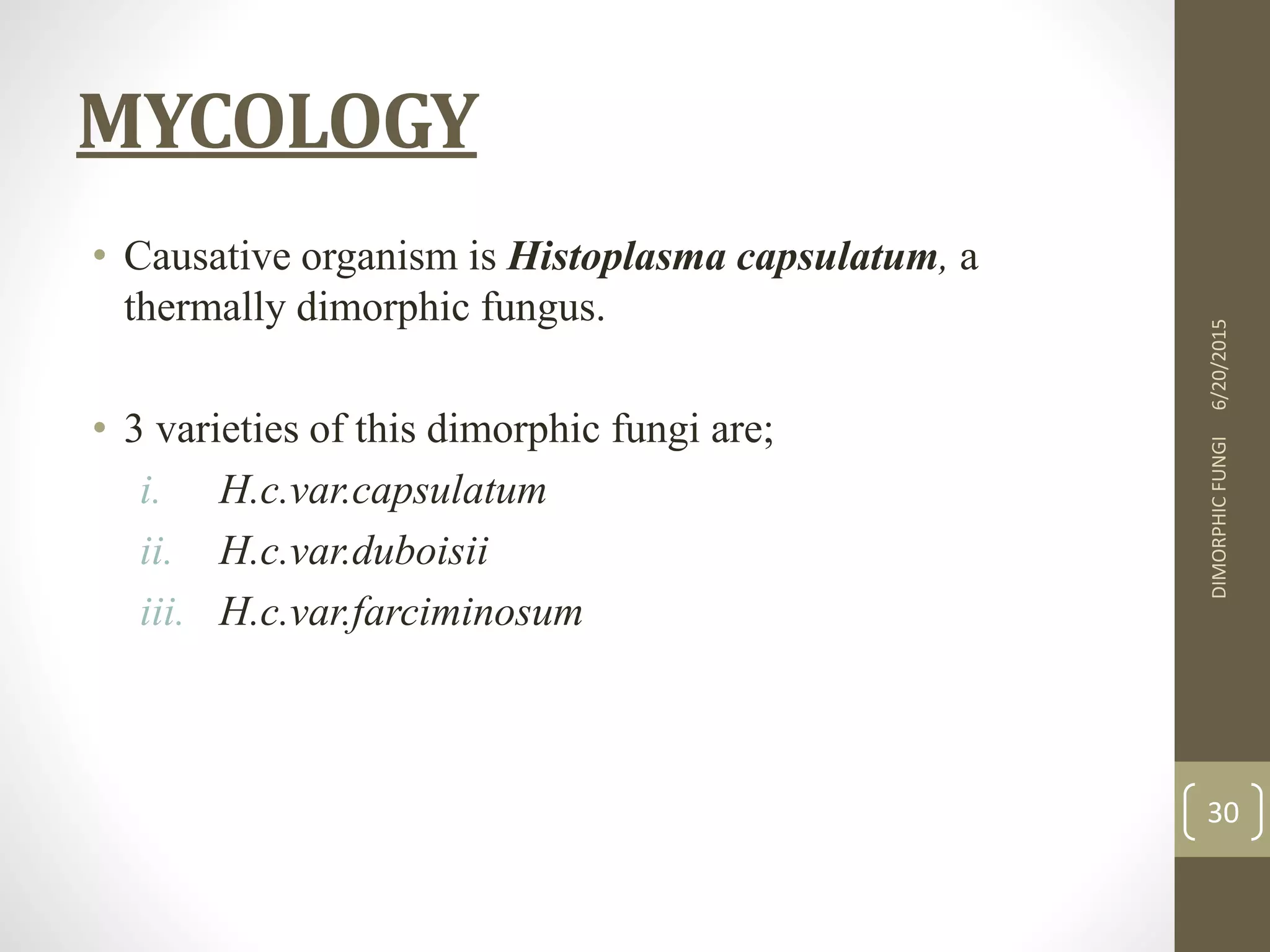 Dimorphic fungi | PPTX | Infectious Diseases | Diseases and Conditions