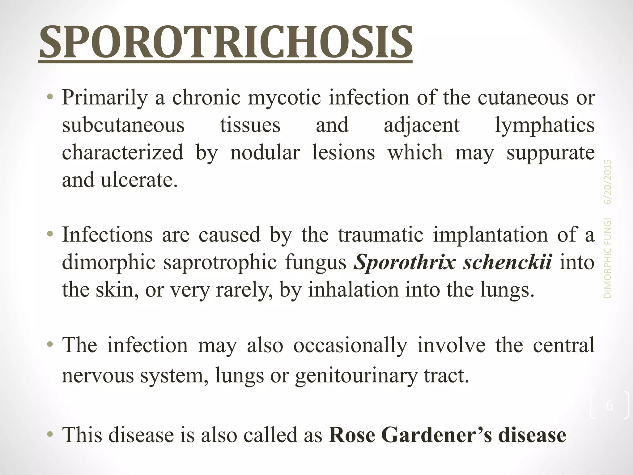 Dimorphic fungi | PPTX