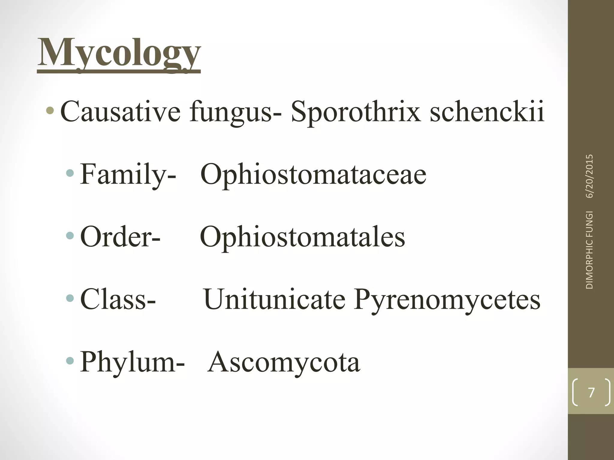 Dimorphic fungi | PPTX