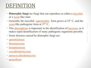 Dimorphic fungi | PPTX