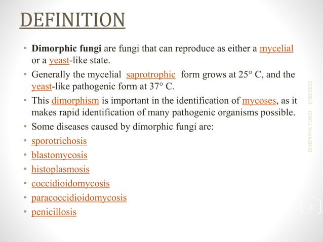 Dimorphic fungi | PPTX | Infectious Diseases | Diseases and Conditions