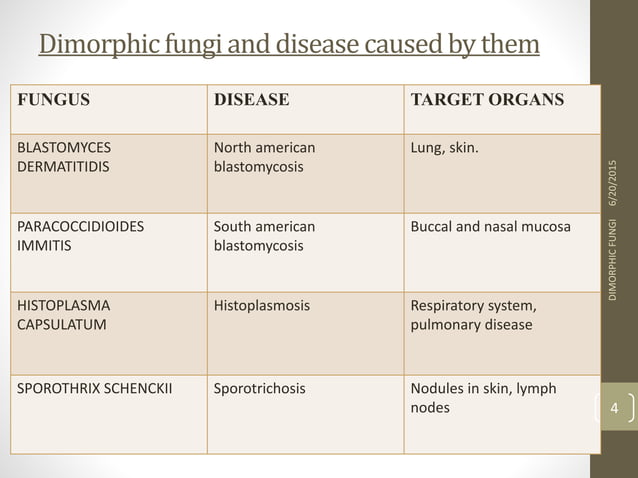Dimorphic fungi | PPTX | Infectious Diseases | Diseases and Conditions