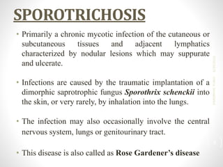 Dimorphic fungi | PPTX