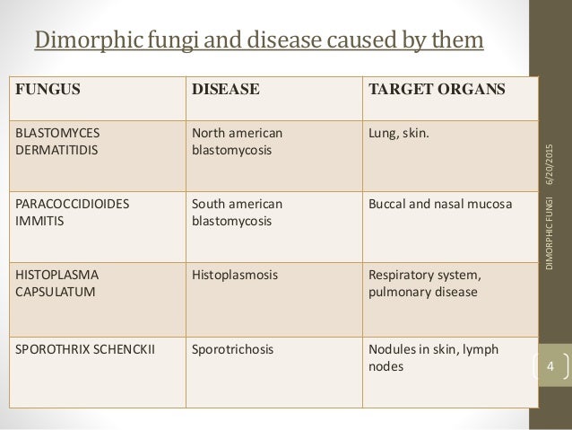 Dimorphic fungi