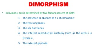 Dimorphism | PPTX