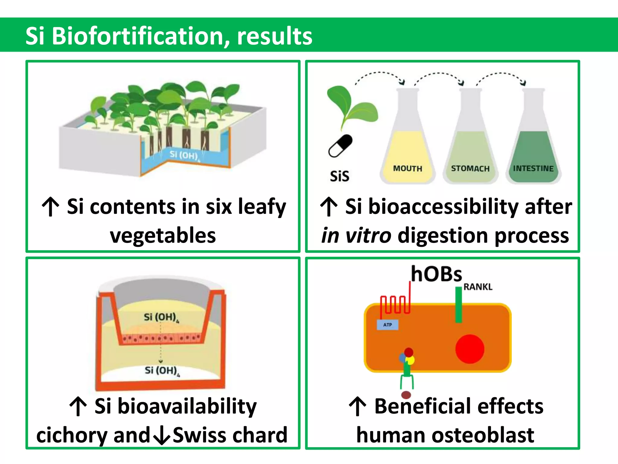 D'Imperio Massimiliano Ph.D_BIOFORTIFICATION PROCESS TO IMPROVE ...