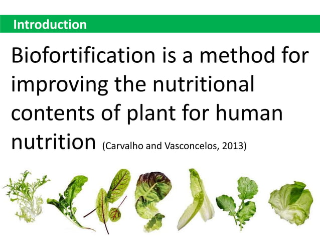D'Imperio Massimiliano Ph.D_BIOFORTIFICATION PROCESS TO IMPROVE ...