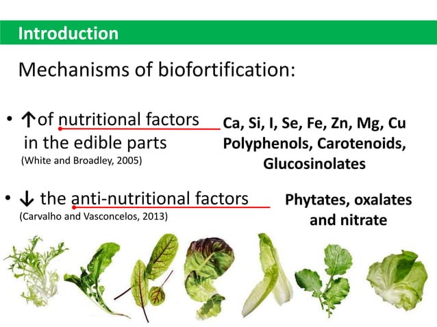 D'Imperio Massimiliano Ph.D_BIOFORTIFICATION PROCESS TO IMPROVE ...