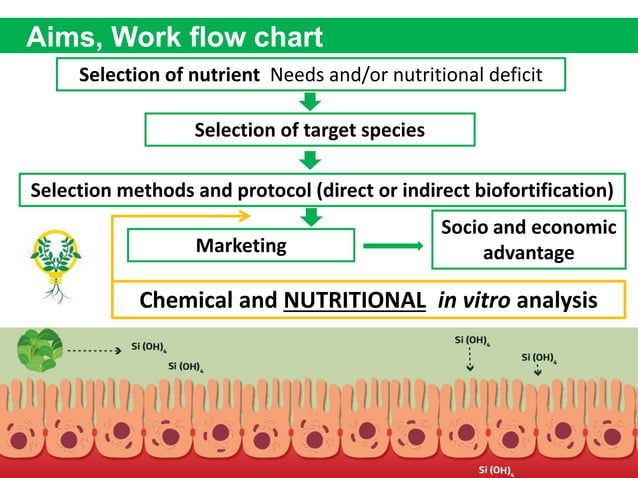 D'Imperio Massimiliano Ph.D_BIOFORTIFICATION PROCESS TO IMPROVE ...