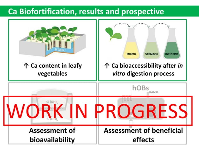 D'Imperio Massimiliano Ph.D_BIOFORTIFICATION PROCESS TO IMPROVE ...