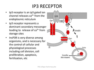 intracellular receptors ,signaling,transcription factors , nucleic ...