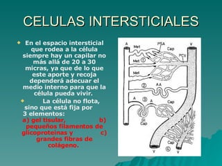 Dinamica | PPT