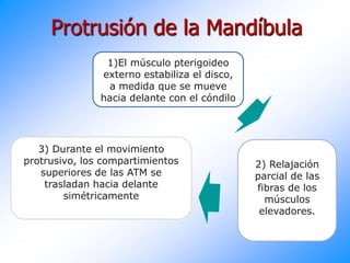 Dinamica mandibular | PPTX