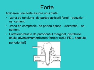 Dinamica sistemului stomatognat.ppt