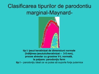 Dinamica sistemului stomatognat.ppt