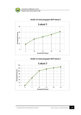 DINAMIC CONE PENETROMETER.docx